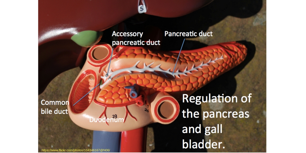 164: Drug induced pancreatitis - Pharmacy Joe